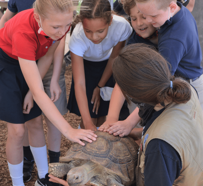 Your Guide to a Covenant Education | Covenant Classical School